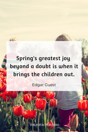 36 Beautiful Spring Quotes - The XO Factor