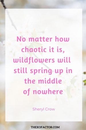 36 Beautiful Spring Quotes - The XO Factor