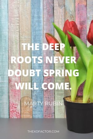 36 Beautiful Spring Quotes - The XO Factor