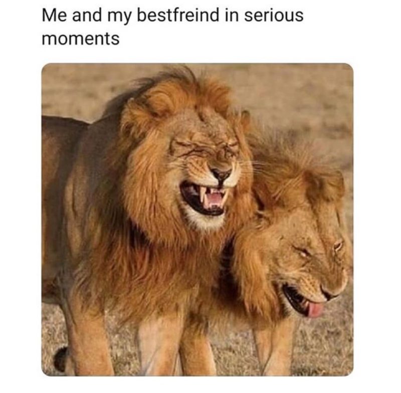 Top 18 Best Friends Memes You Will Love - The XO Factor