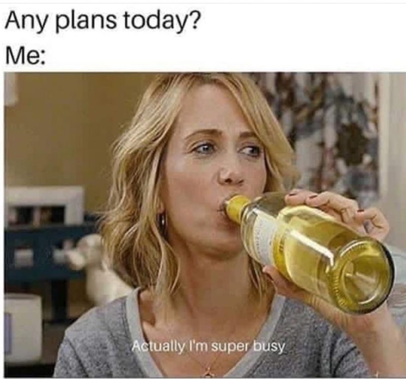 50+ Funny Drinking Memes To Make Your Day - The XO Factor