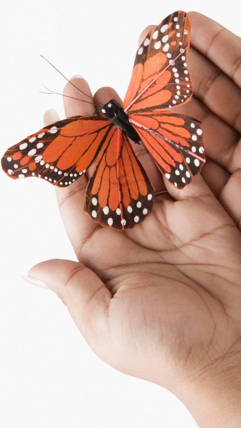 100 Free Butterfly Wallpapers For Your Phone - The XO Factor