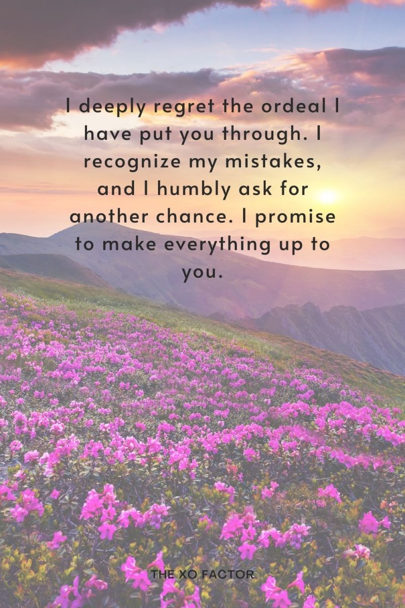 75 Sorry Messages For The Perfect Apology - The XO Factor