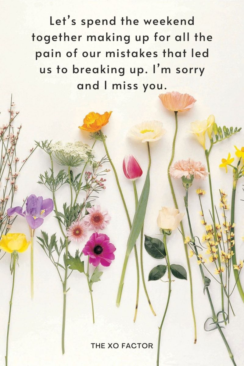 75 Sorry Messages For The Perfect Apology - The XO Factor