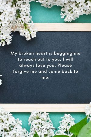75 Sorry Messages For The Perfect Apology - The XO Factor