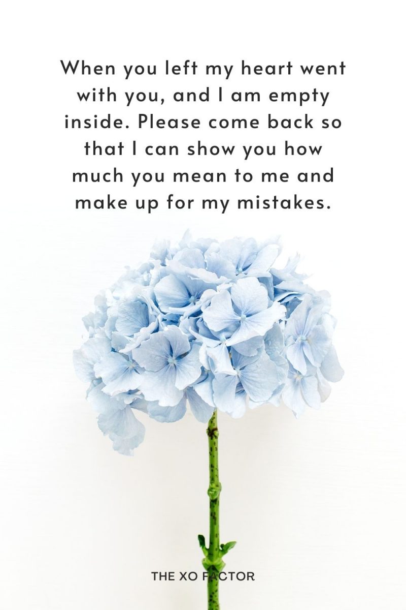 75 Sorry Messages For The Perfect Apology - The XO Factor