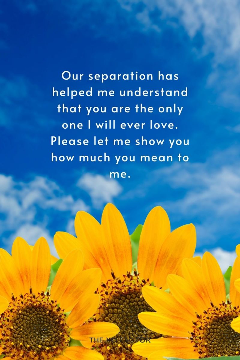 75 Sorry Messages For The Perfect Apology - The XO Factor