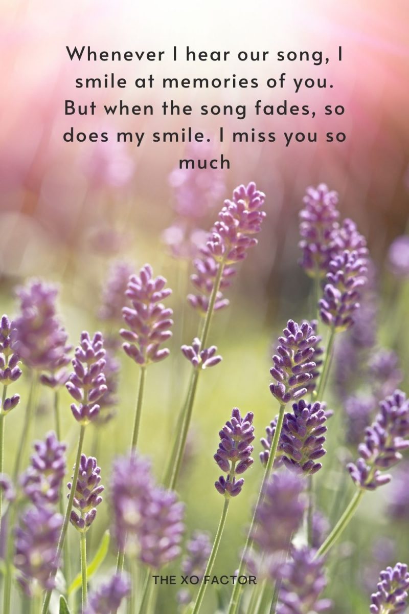 75 Sorry Messages For The Perfect Apology - The XO Factor
