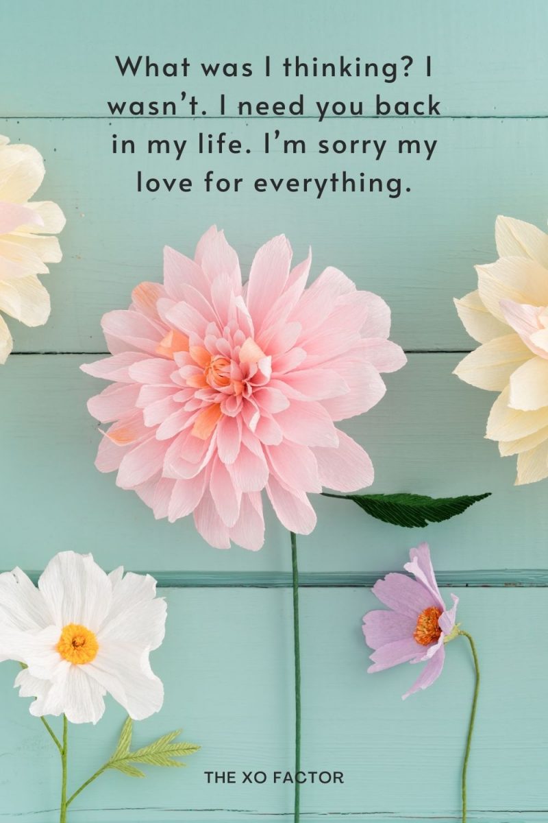 75 Sorry Messages For The Perfect Apology - The XO Factor