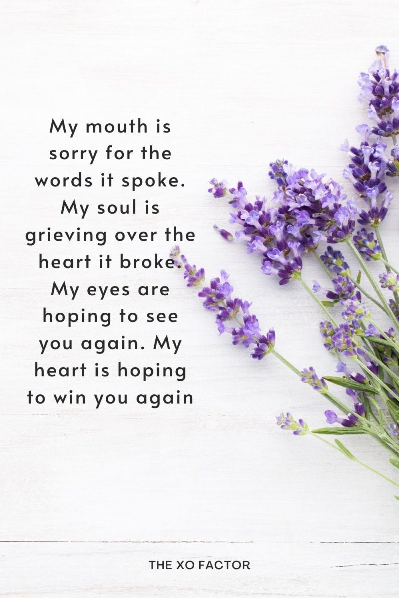 75 Sorry Messages For The Perfect Apology - The XO Factor