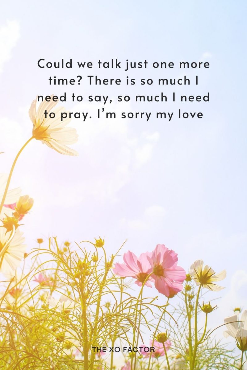 75 Sorry Messages For The Perfect Apology - The XO Factor