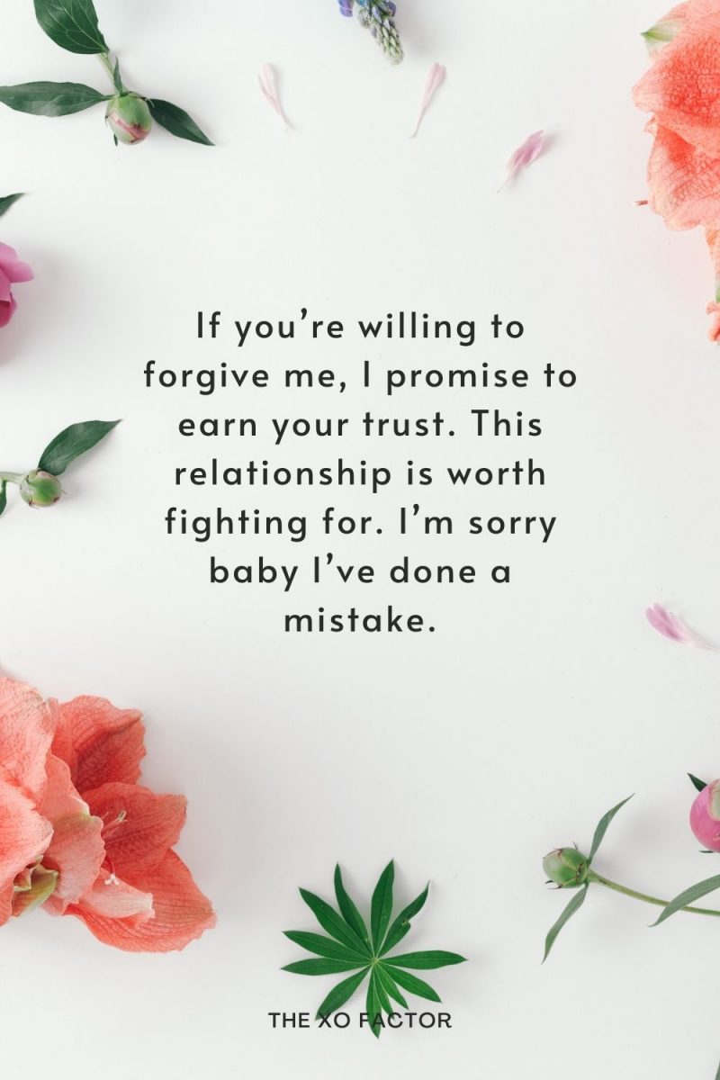 75 Sorry Messages For The Perfect Apology - The XO Factor