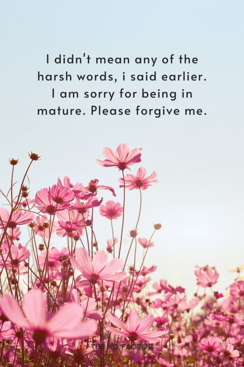 75 Sorry Messages For The Perfect Apology - The XO Factor