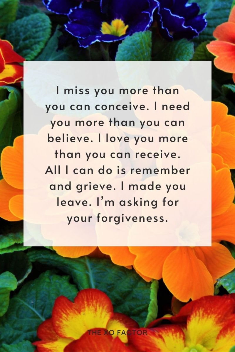 75 Sorry Messages For The Perfect Apology - The XO Factor