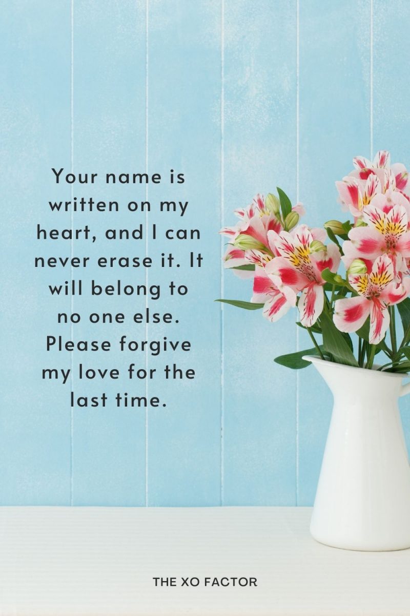 75 Sorry Messages For The Perfect Apology - The XO Factor
