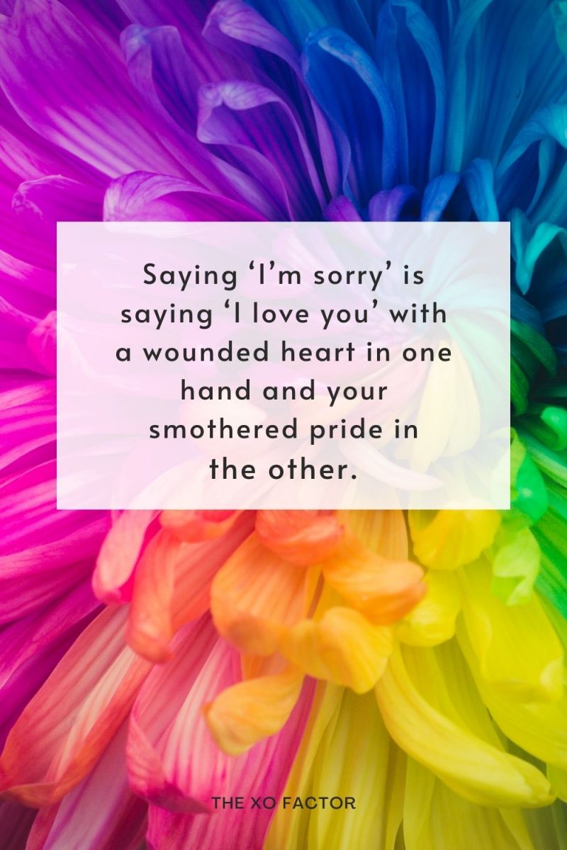 75 Sorry Messages For The Perfect Apology - The XO Factor