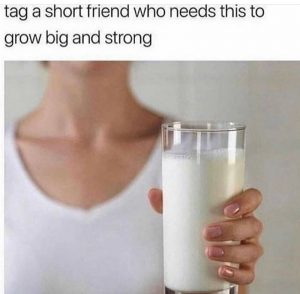 23 Short People Memes That Will Have You Rolling On The Floor - The XO ...