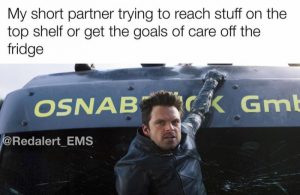 23 Short People Memes That Will Have You Rolling On The Floor - The XO ...