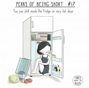 23 Short People Memes That Will Have You Rolling On The Floor - The XO ...