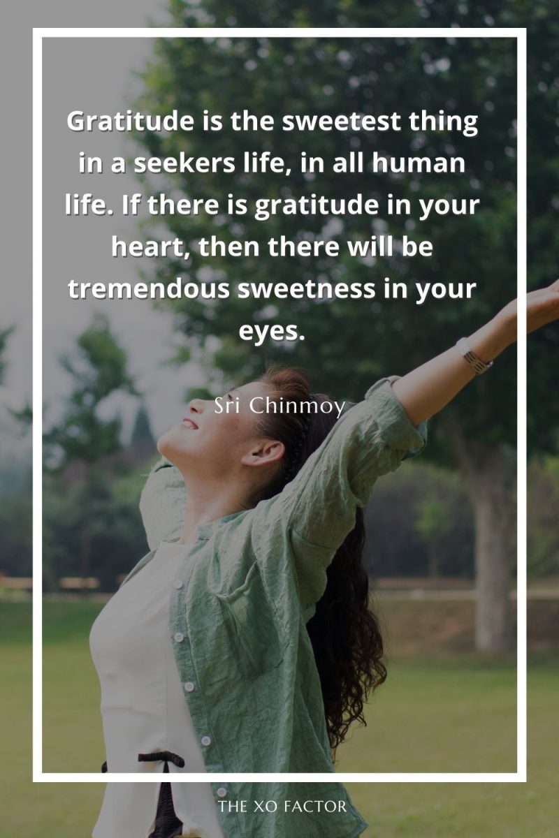 80 Gratitude Quotes For Life - The XO Factor