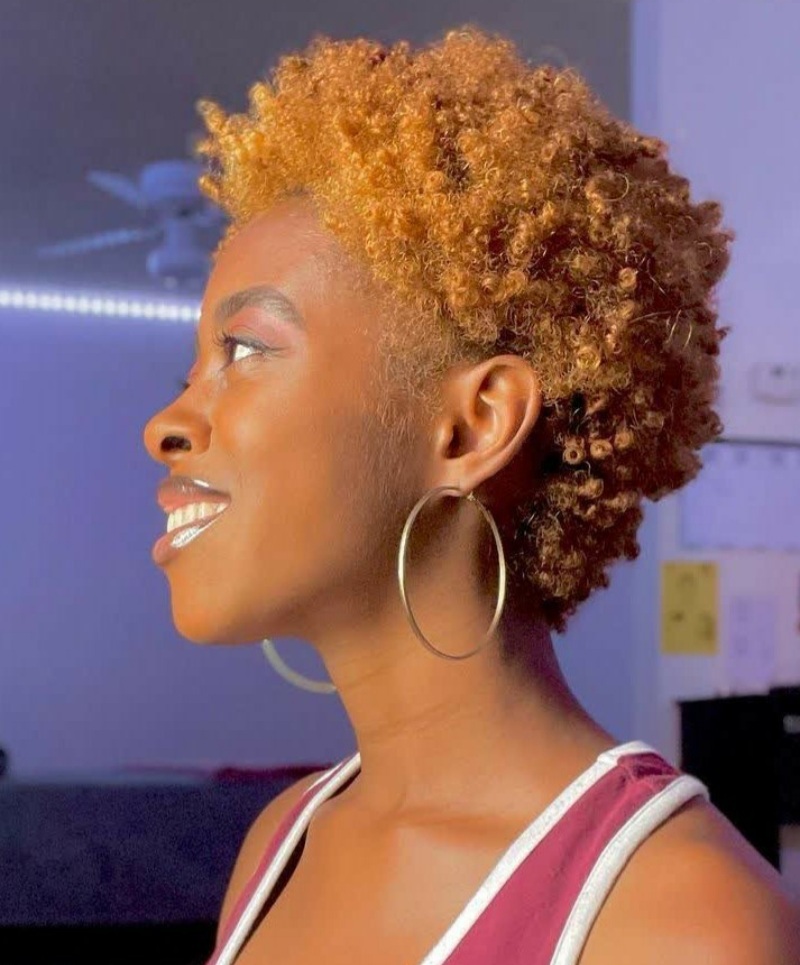 4C TWA Curls Perfection: Beautiful Short Hairstyles To Try Now - The XO ...