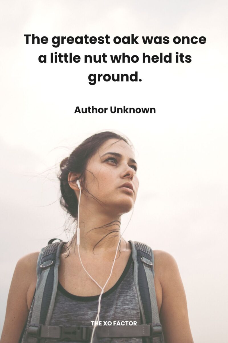 80 Determination Quotes To Fuel Your Ambition And Success - The XO Factor