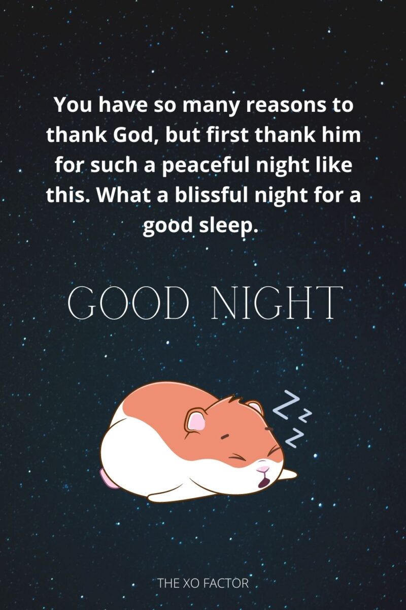 100 Good Night Messages To Make Their Night Special - The XO Factor