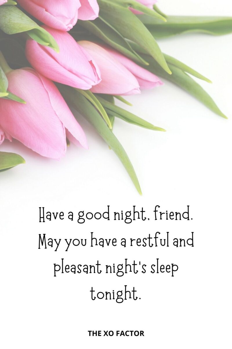 100 Good Night Messages To Make Their Night Special - The XO Factor