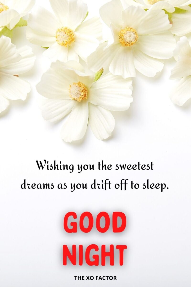 100 Good Night Messages To Make Their Night Special - The XO Factor