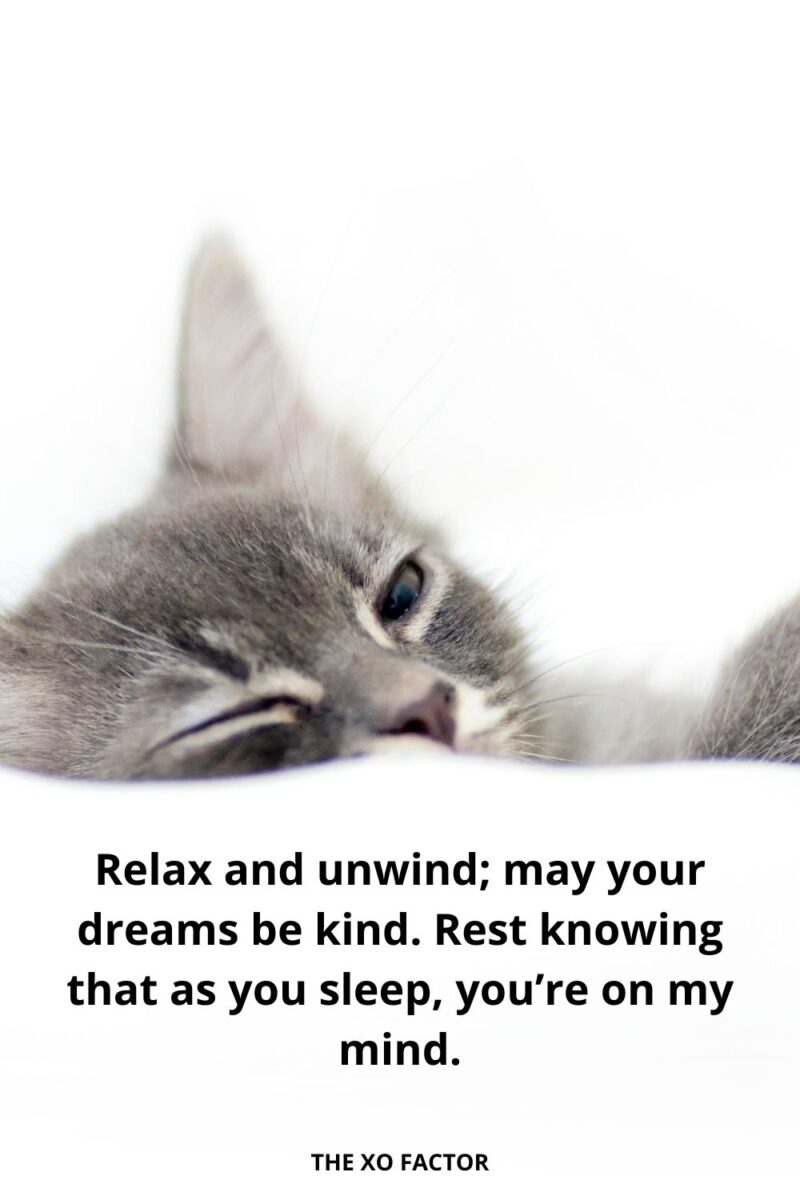 100 Good Night Messages To Make Their Night Special - The XO Factor