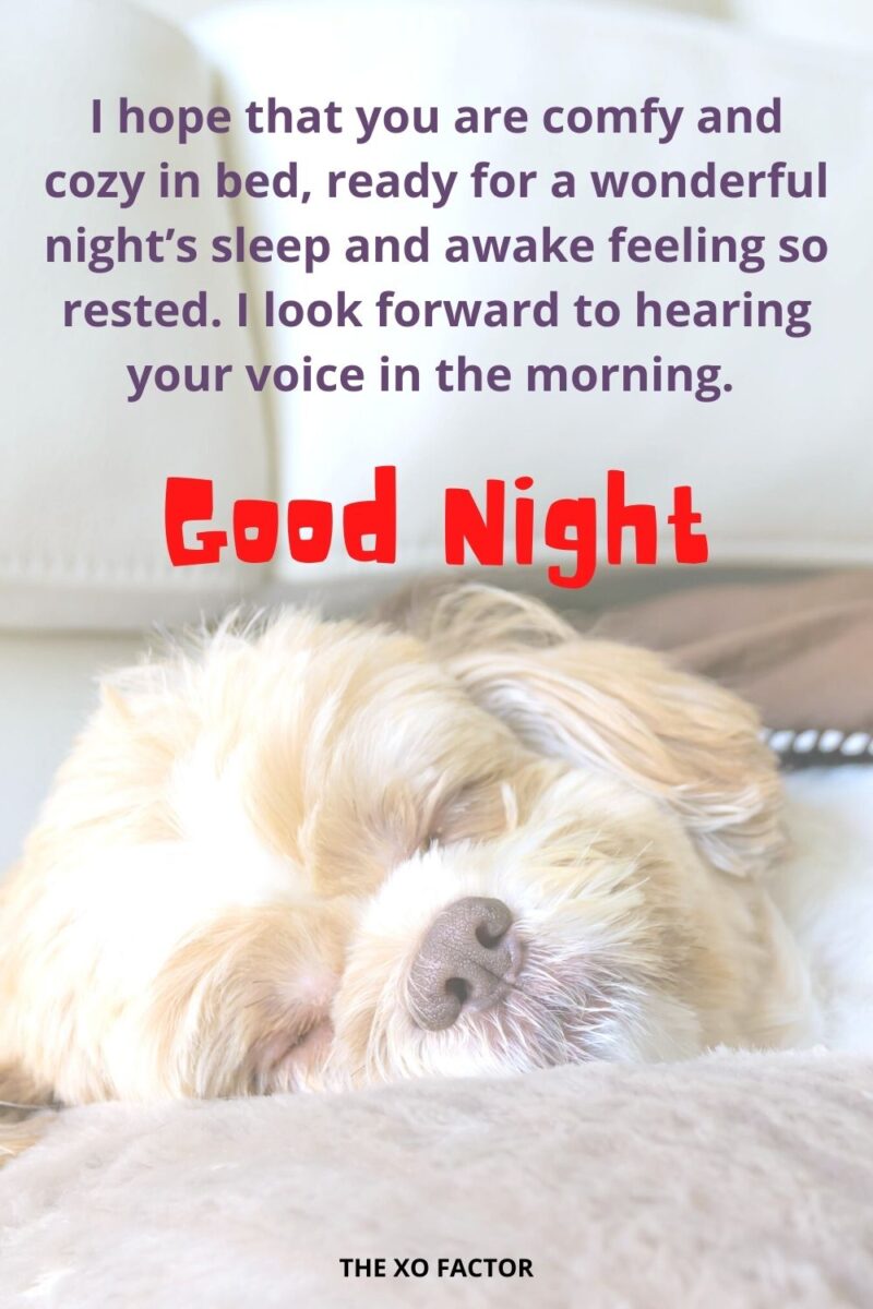100 Good Night Messages To Make Their Night Special - The XO Factor