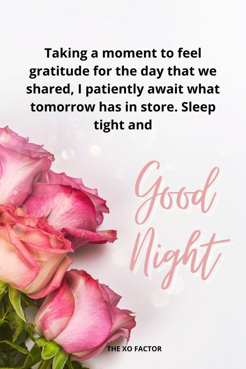 100 Good Night Messages To Make Their Night Special - The XO Factor