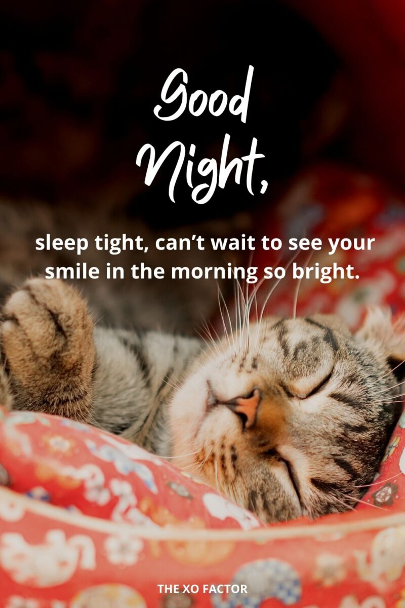 100 Good Night Messages To Make Their Night Special - The XO Factor