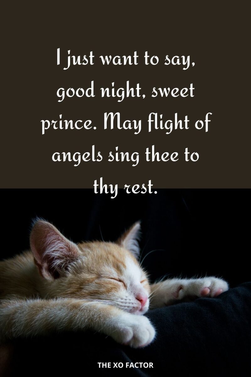 100 Good Night Messages To Make Their Night Special - The XO Factor