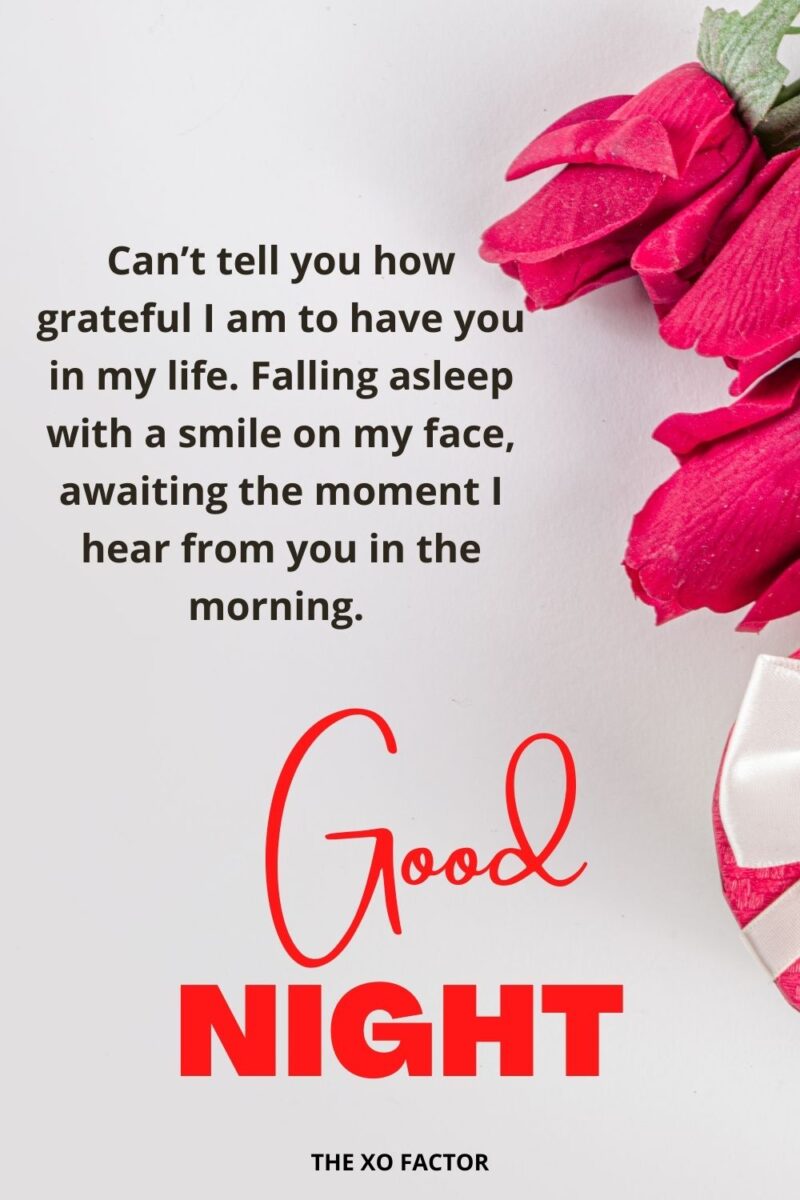 100 Good Night Messages To Make Their Night Special - The XO Factor