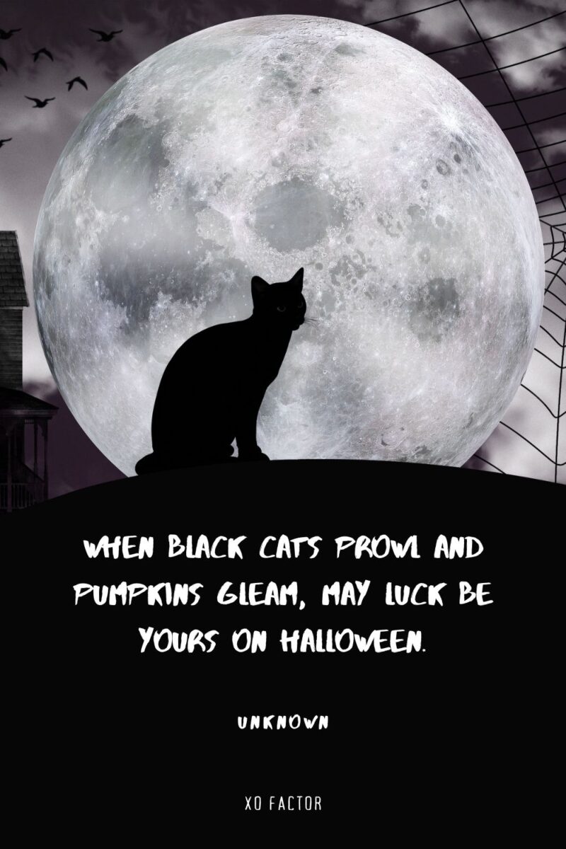 80 Spooky And Mysterious Halloween Quotes To Get You In The Spirit ...