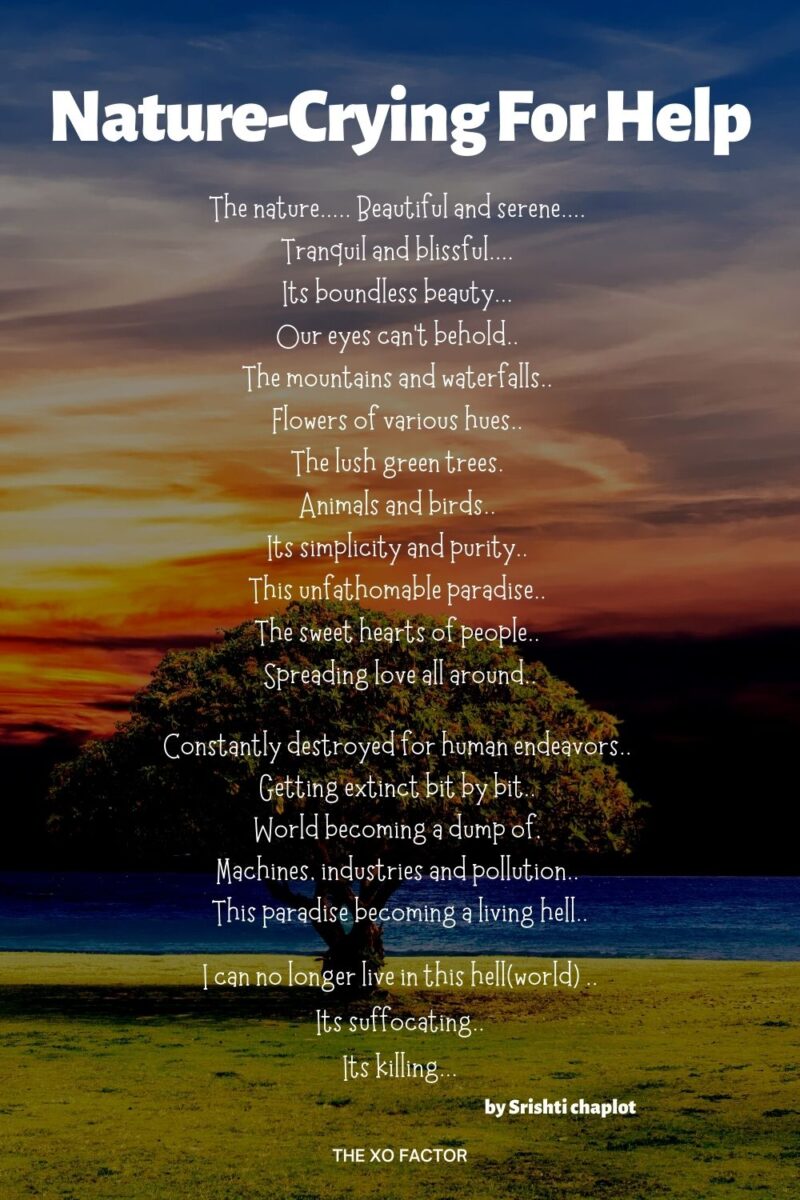 The Incredible Beauty And Tranquility Of Nature Poems - The XO Factor