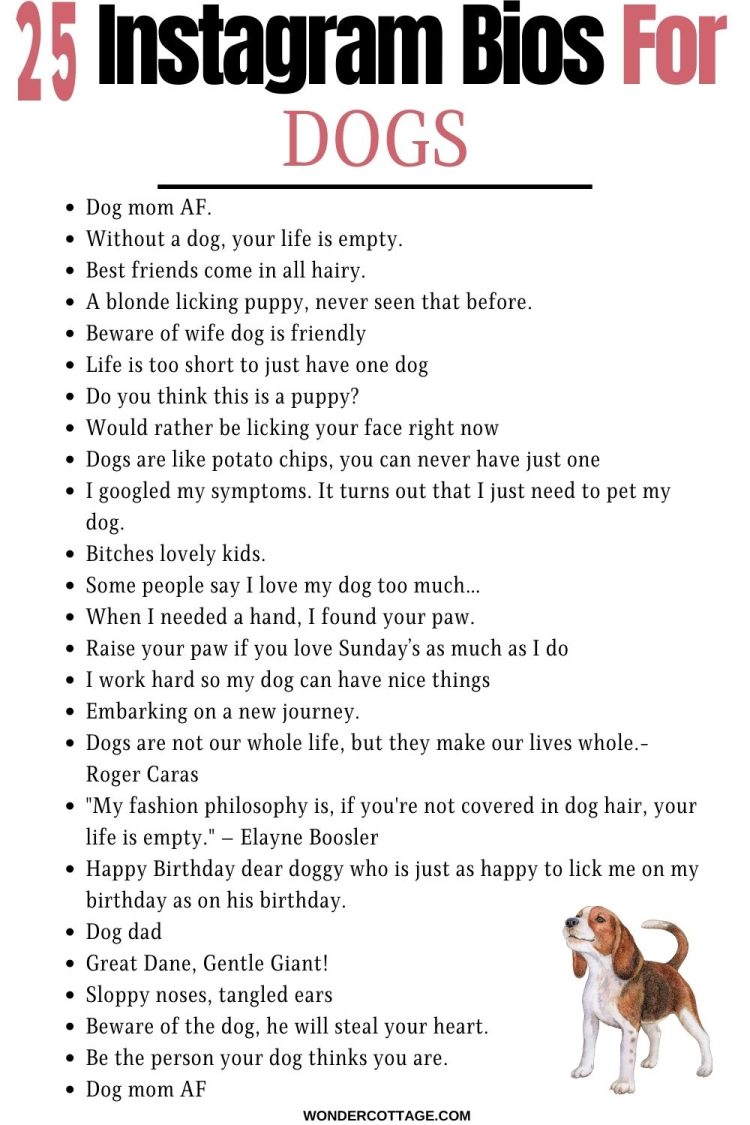 255 Creative Instagram Bios - The XO Factor