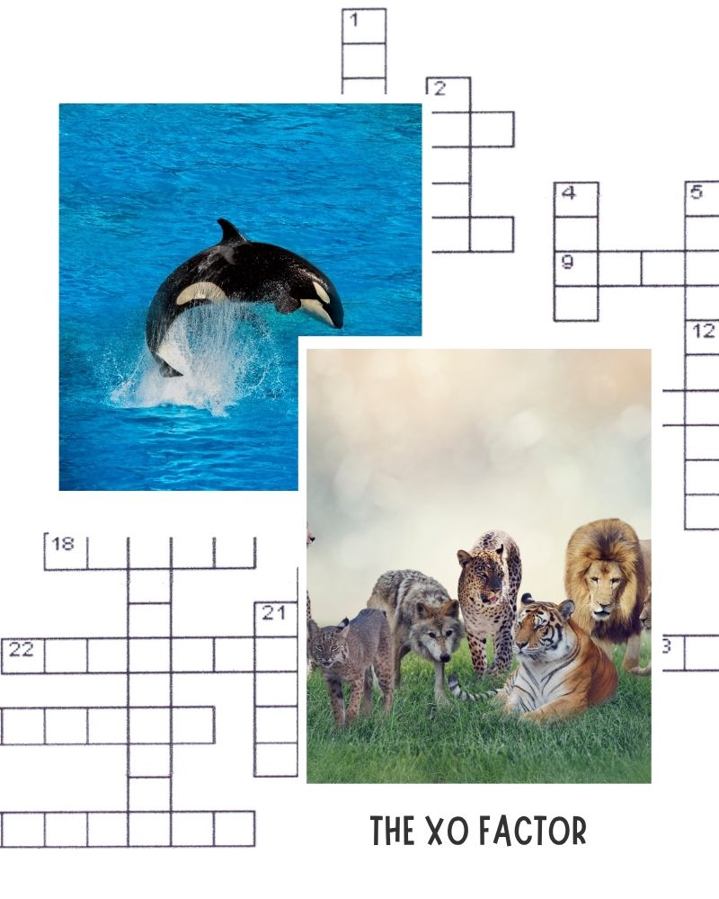 Animals Crossword Puzzle - The XO Factor